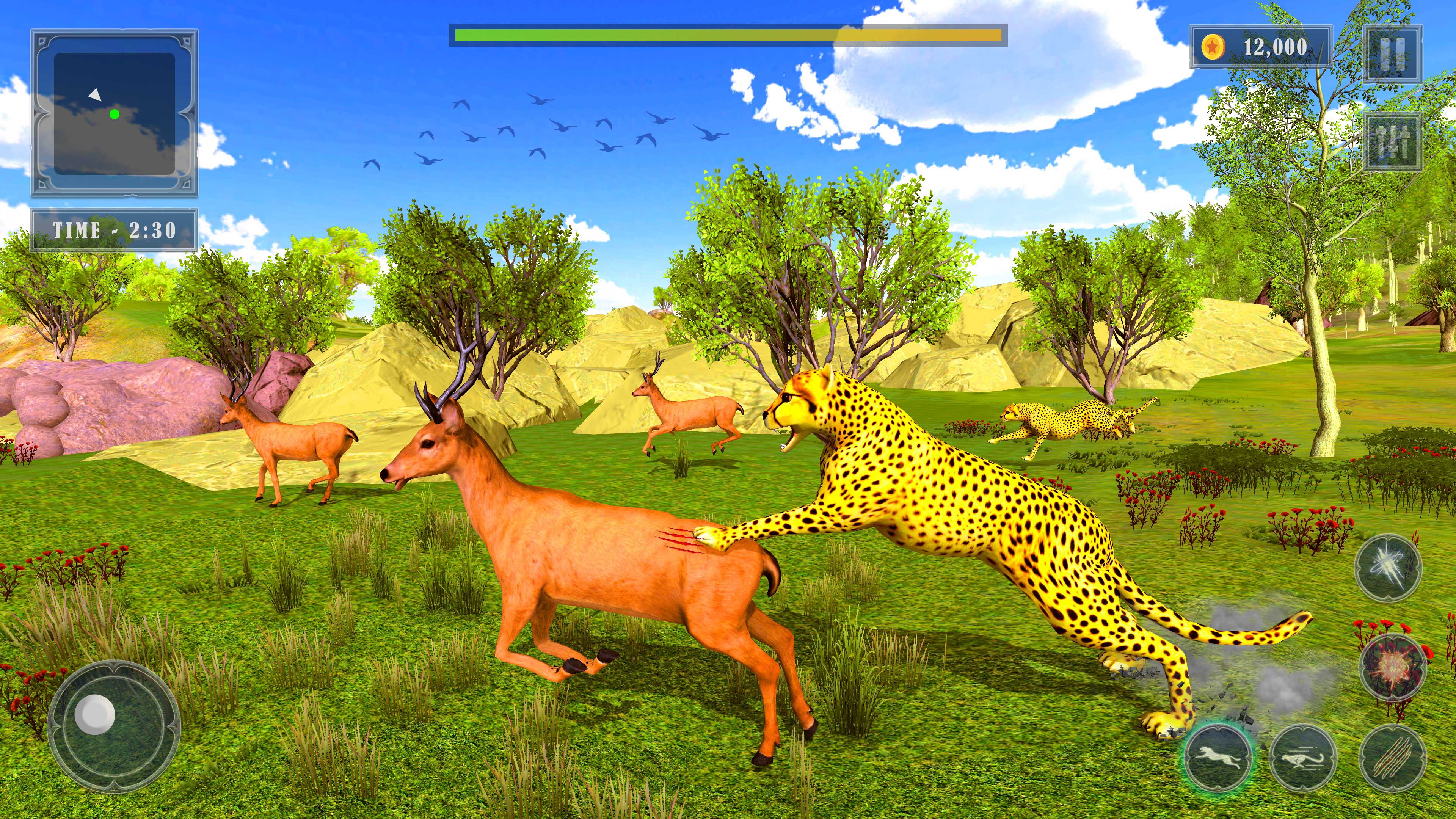 Cheetah Sim Wild Animal Games APK for Android Download