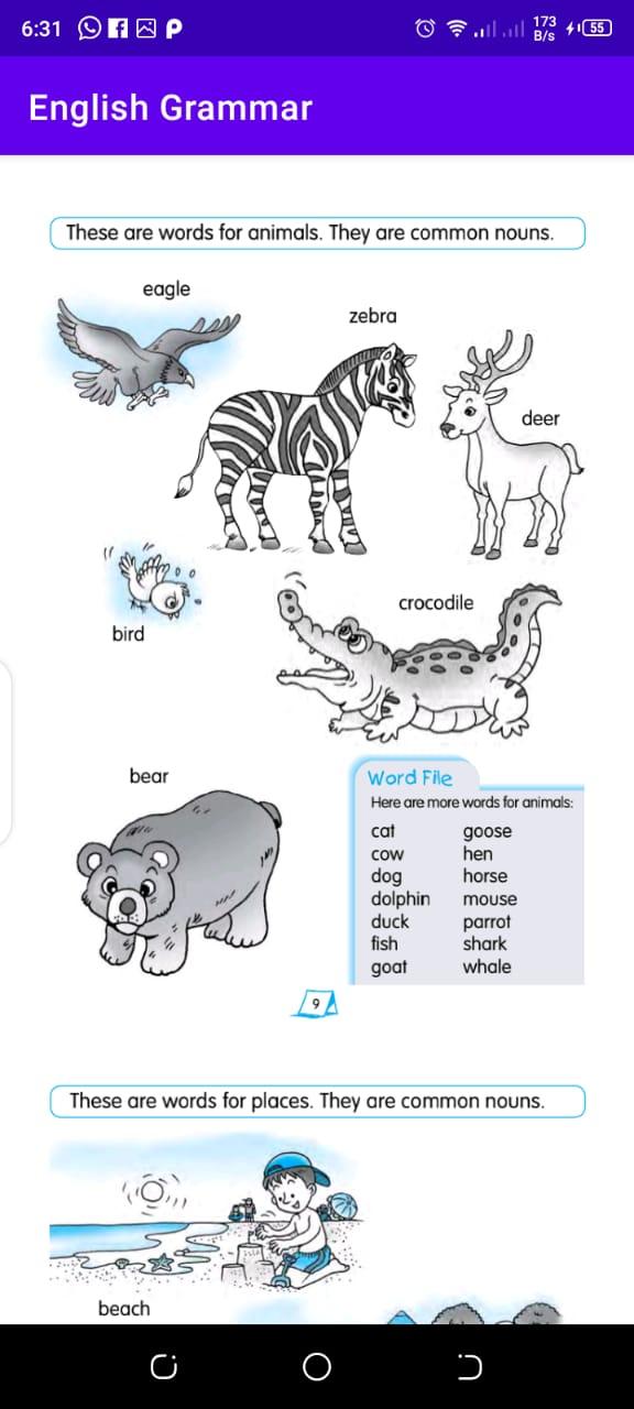 Basic English Grammar APK basic-english-grammar-apk