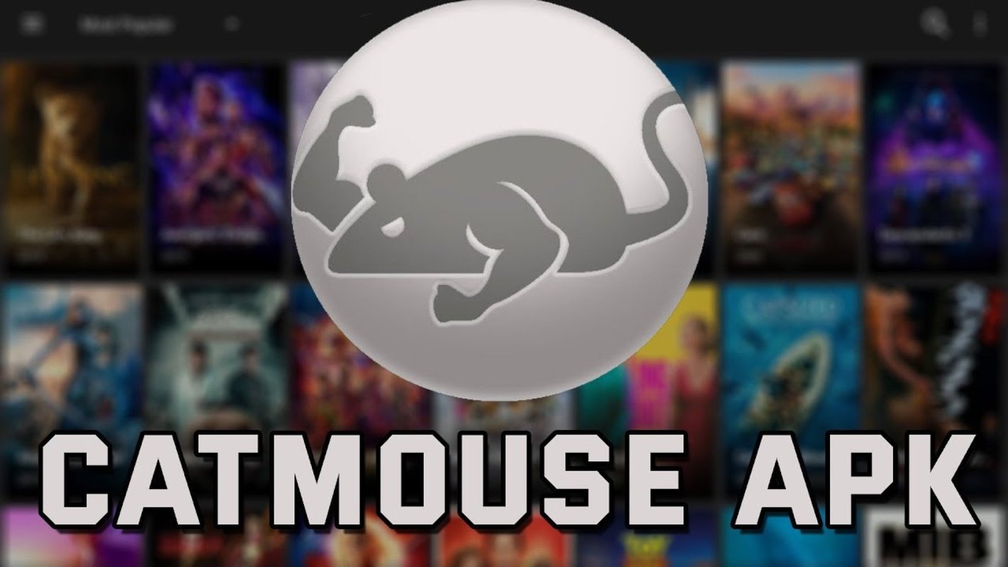 Catmouse app APK for Android Download