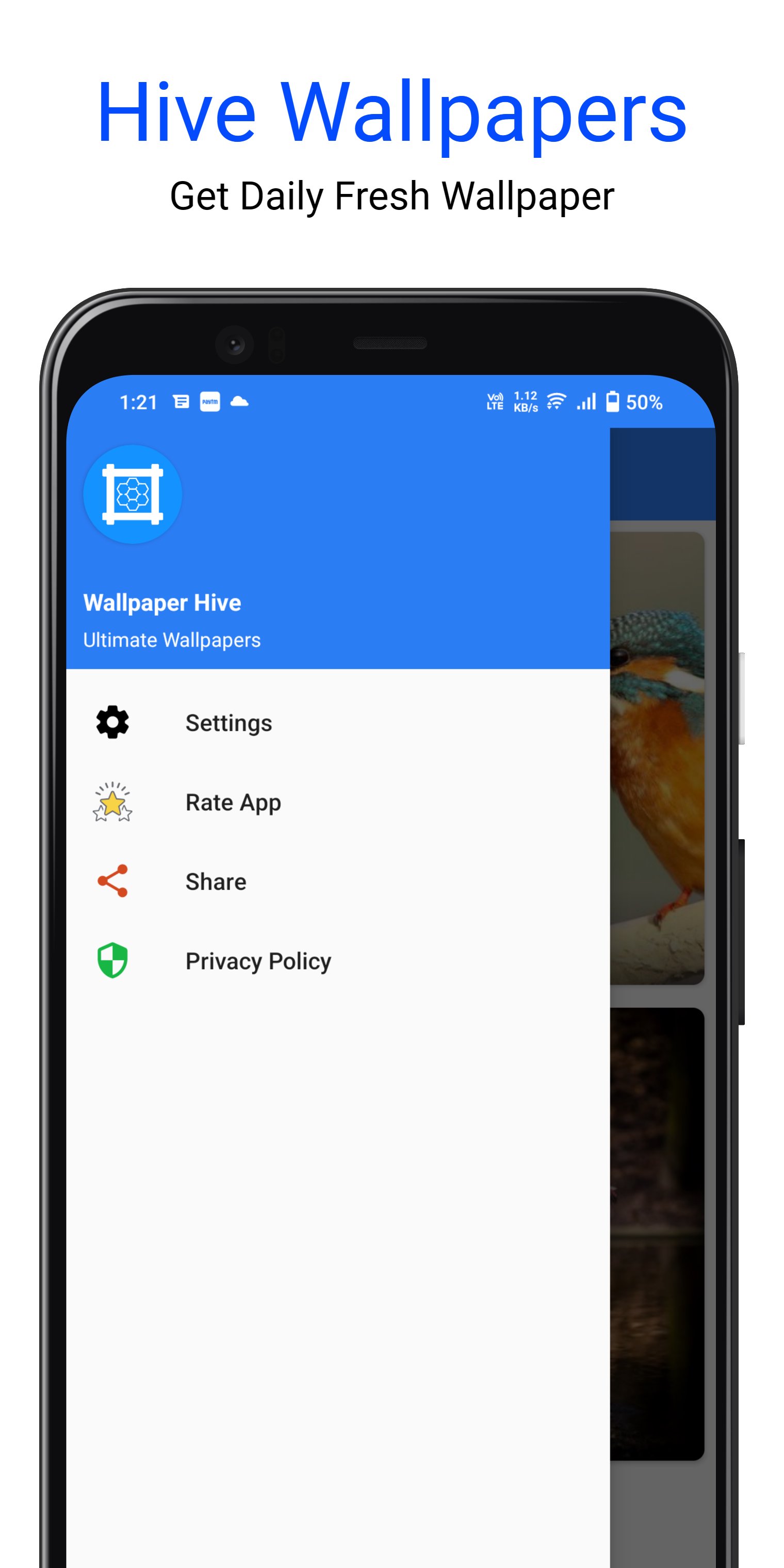 Hive Wallpapers - 4k wallpaper APK برای دانلود اندروید
