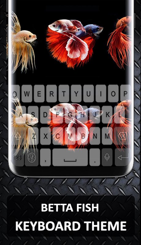 Betta Fish Keyboard Themes APK for Android Download