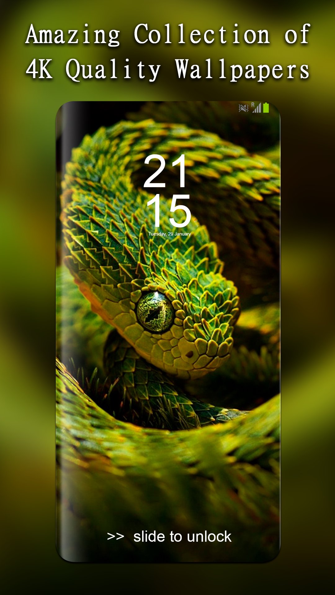 Download do APK de Snakes: Lock Screen Wallpaper para Android