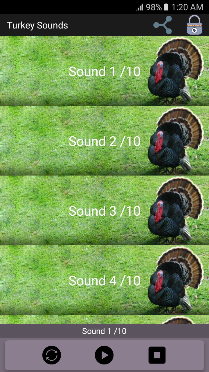 Turkey Sounds APK for Android Download