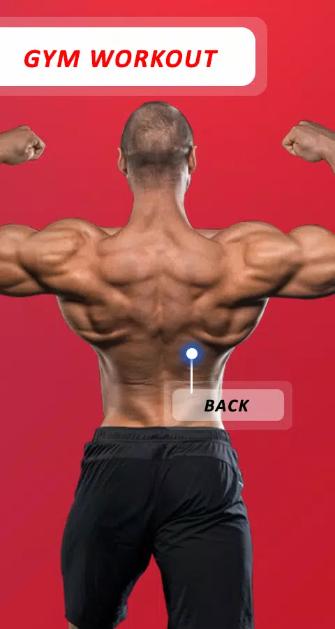 V Shape Workout