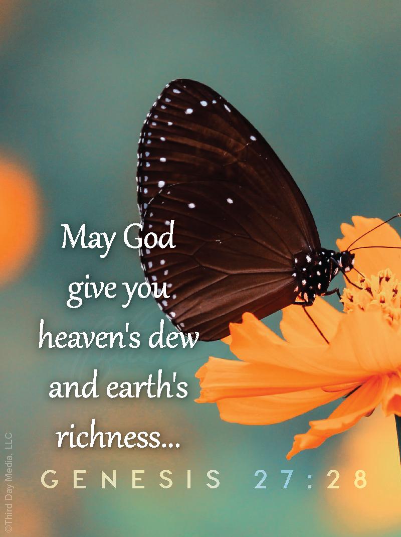 Daily Bible Verse And Bible Quotes APK For Android Download daily-bible-verse-and-bible-quotes-apk-for-android-download