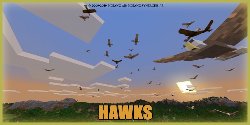 HAWKS birds Addon for Minecraft MCPE APK for Android Download
