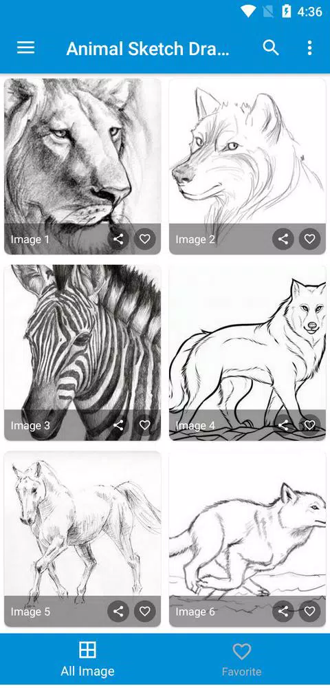 Cool Drawing Of Animals