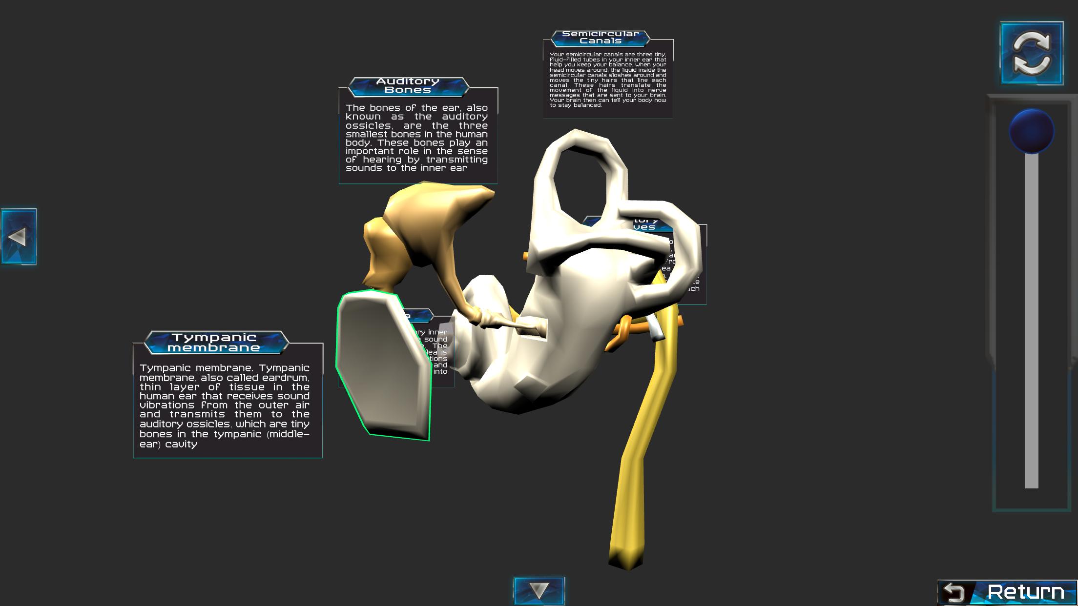 Human Body Anatomy Parts APK Android human-body-anatomy-parts-apk-android