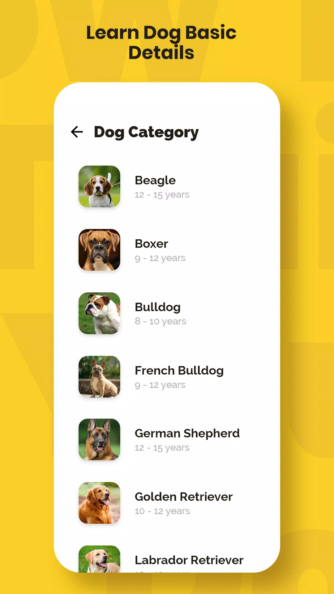 Dog Tricks List