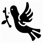 Dove dive -Puzzle Bird Game APK per Android Download