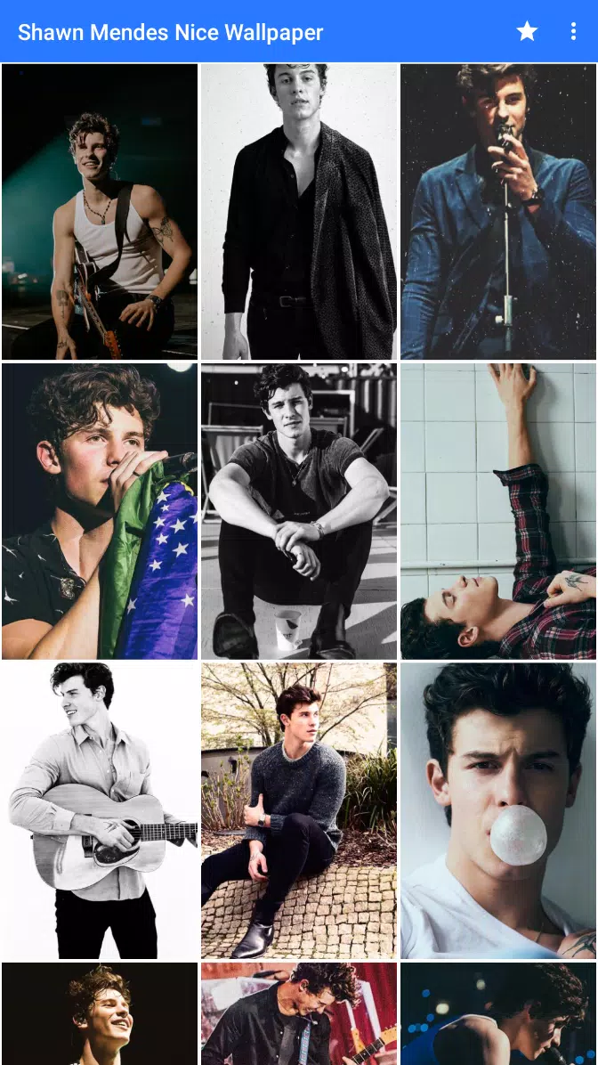 Shawn Mendes Collage Wallpaper