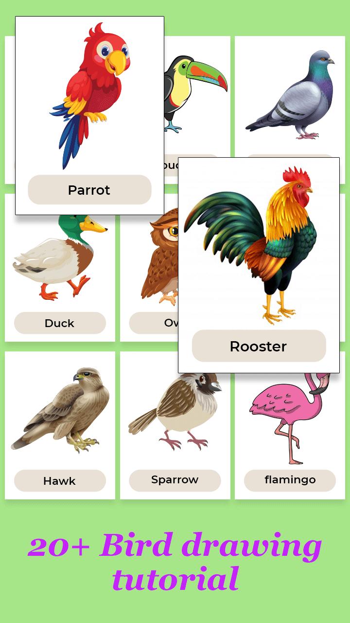 How To Draw Birds Step By Step APK how-to-draw-birds-step-by-step-apk