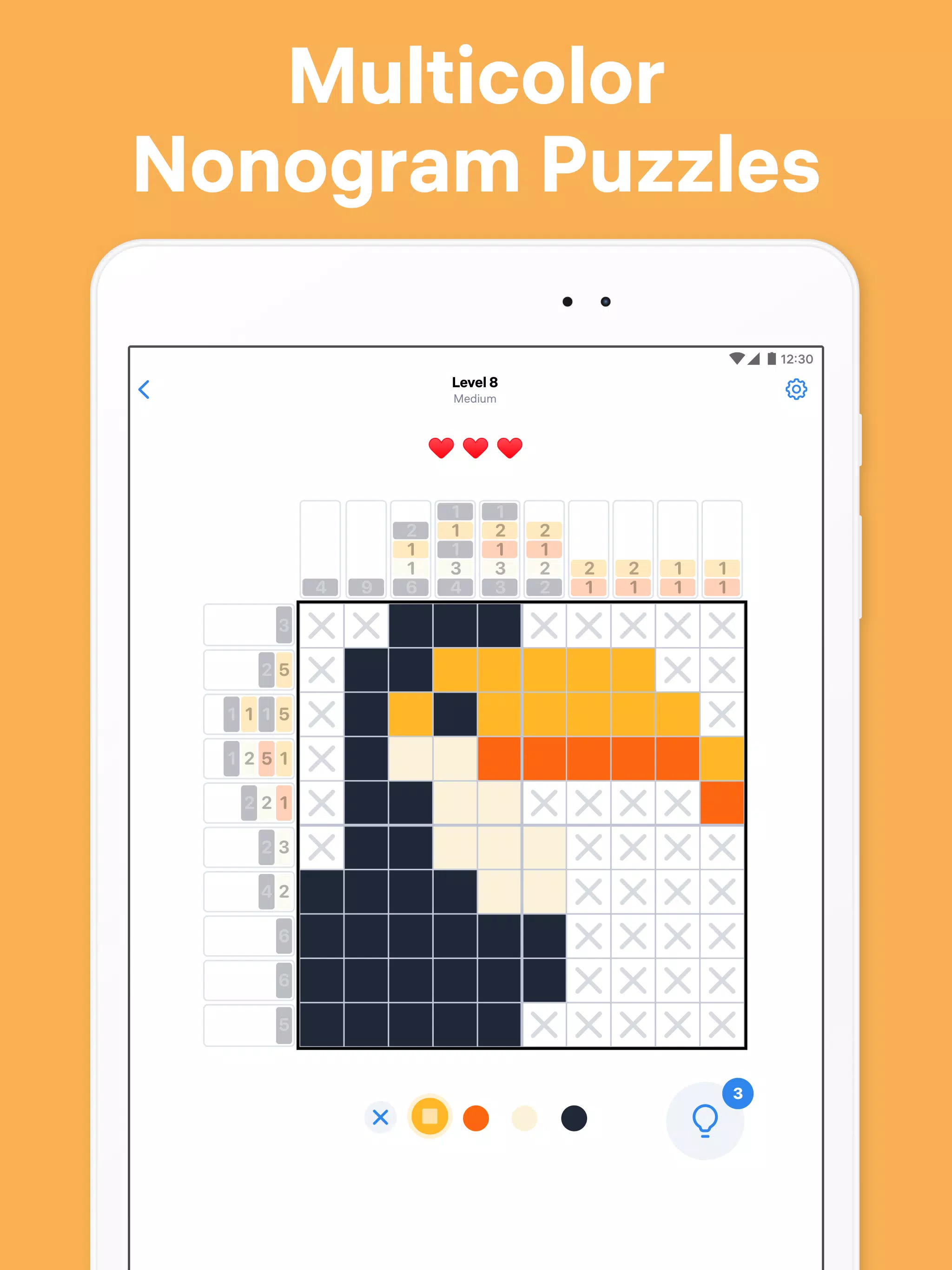 Nonogram Puzzles