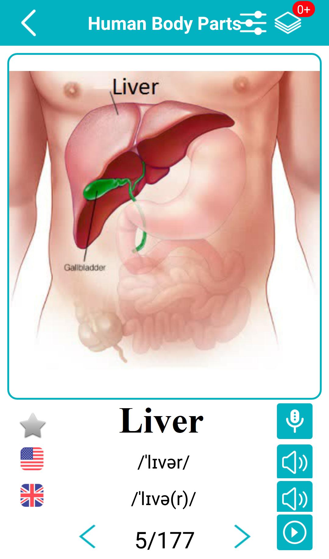 Body Parts Name And Pictures APK For Android Download body-parts-name-and-pictures-apk-for-android-download