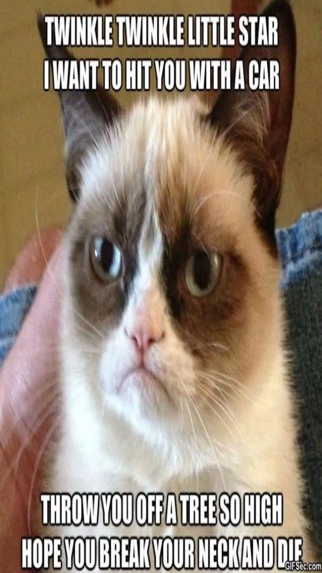 Grumpy Cat Jokes Twinkle