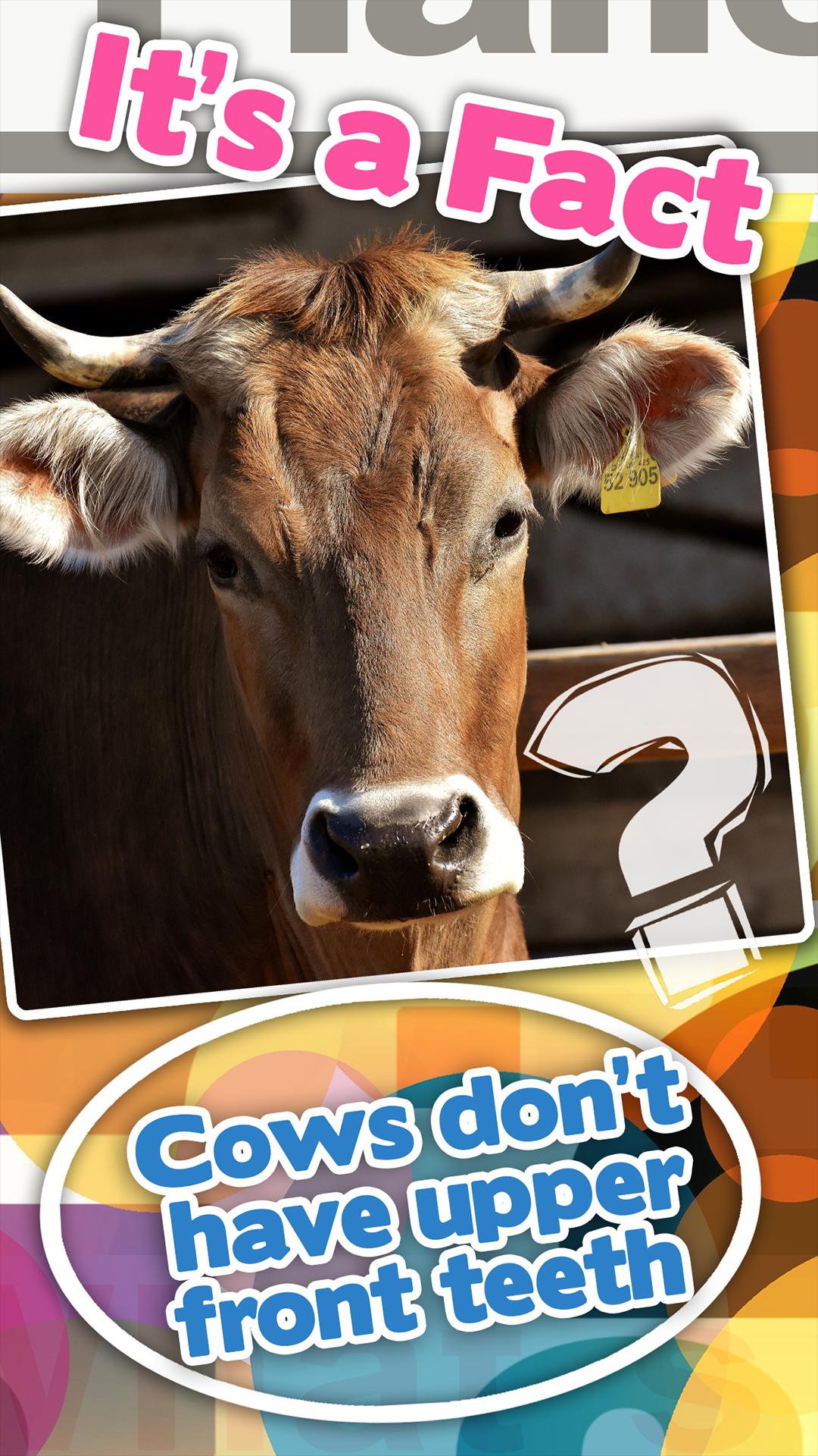 Fact Or Fiction Trivia Quiz Challenge For Android APK Download fact-or-fiction-trivia-quiz-challenge-for-android-apk-download