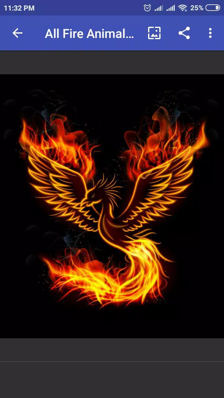 Fire Animals Wallpaper