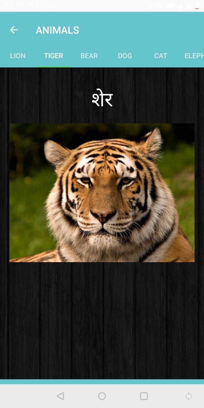 Descarga De APK De Hindi Flashcards Hindi Words For Kids Para Android descarga-de-apk-de-hindi-flashcards-hindi-words-for-kids-para-android