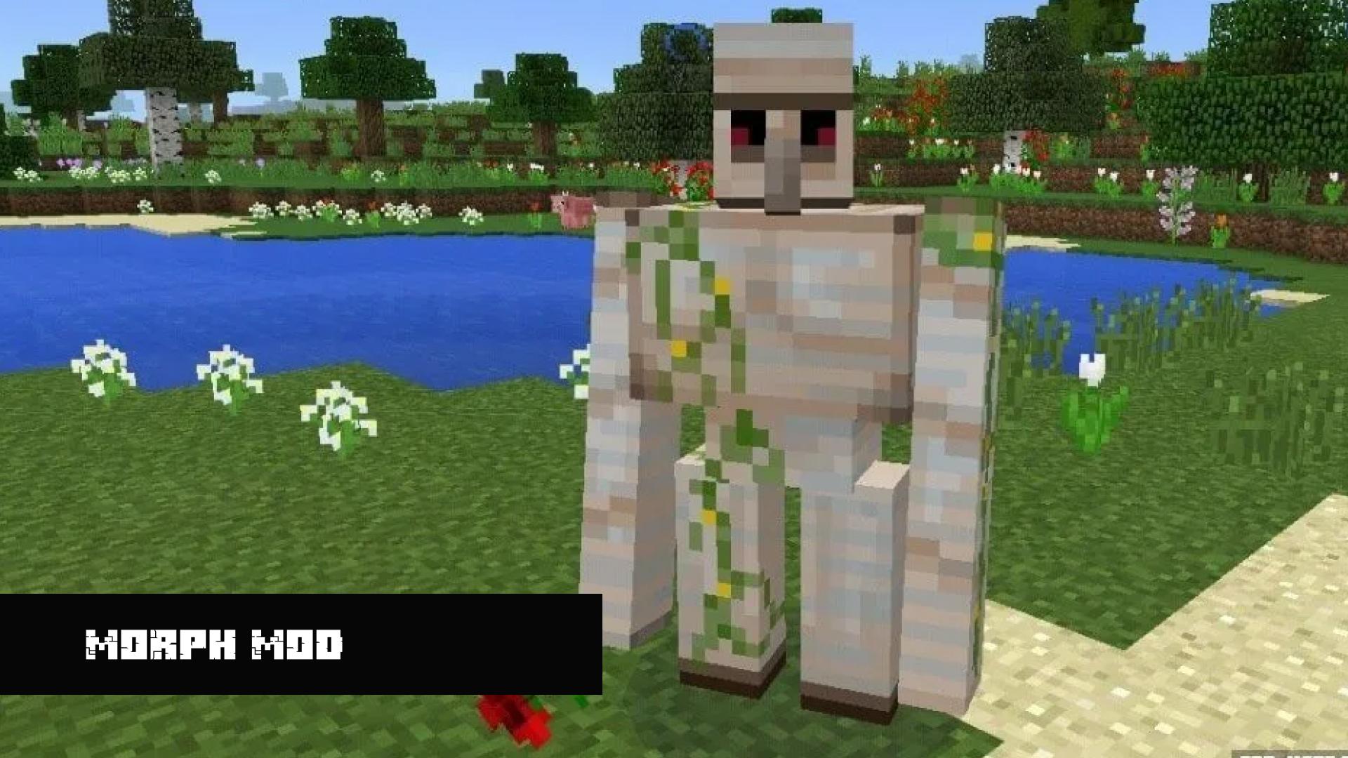Morph Mod for Minecraft PE APK for Android Download Morph Mod for Minecraft PE APK for Android Download