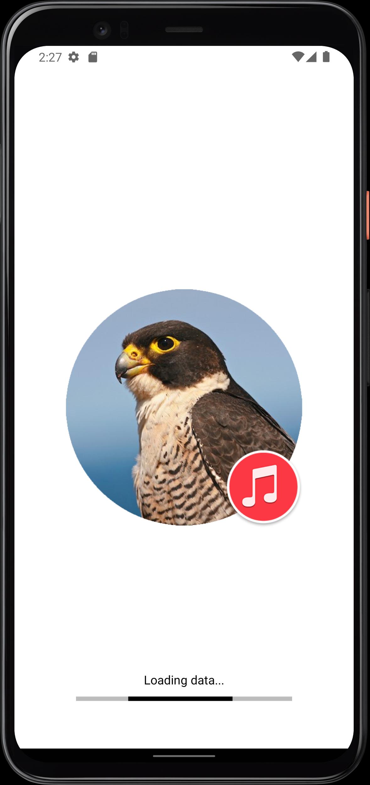 Peregrine Falcon Sounds APK for Android Download Peregrine Falcon Sounds APK for Android Download