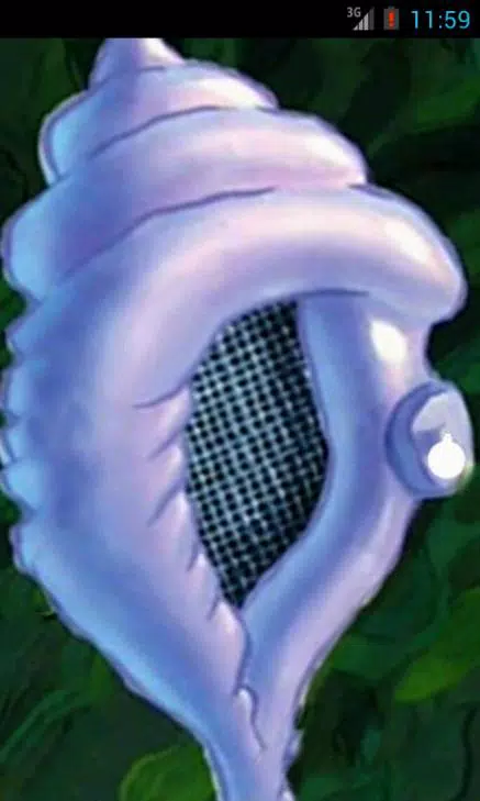 Magic Conch Shell