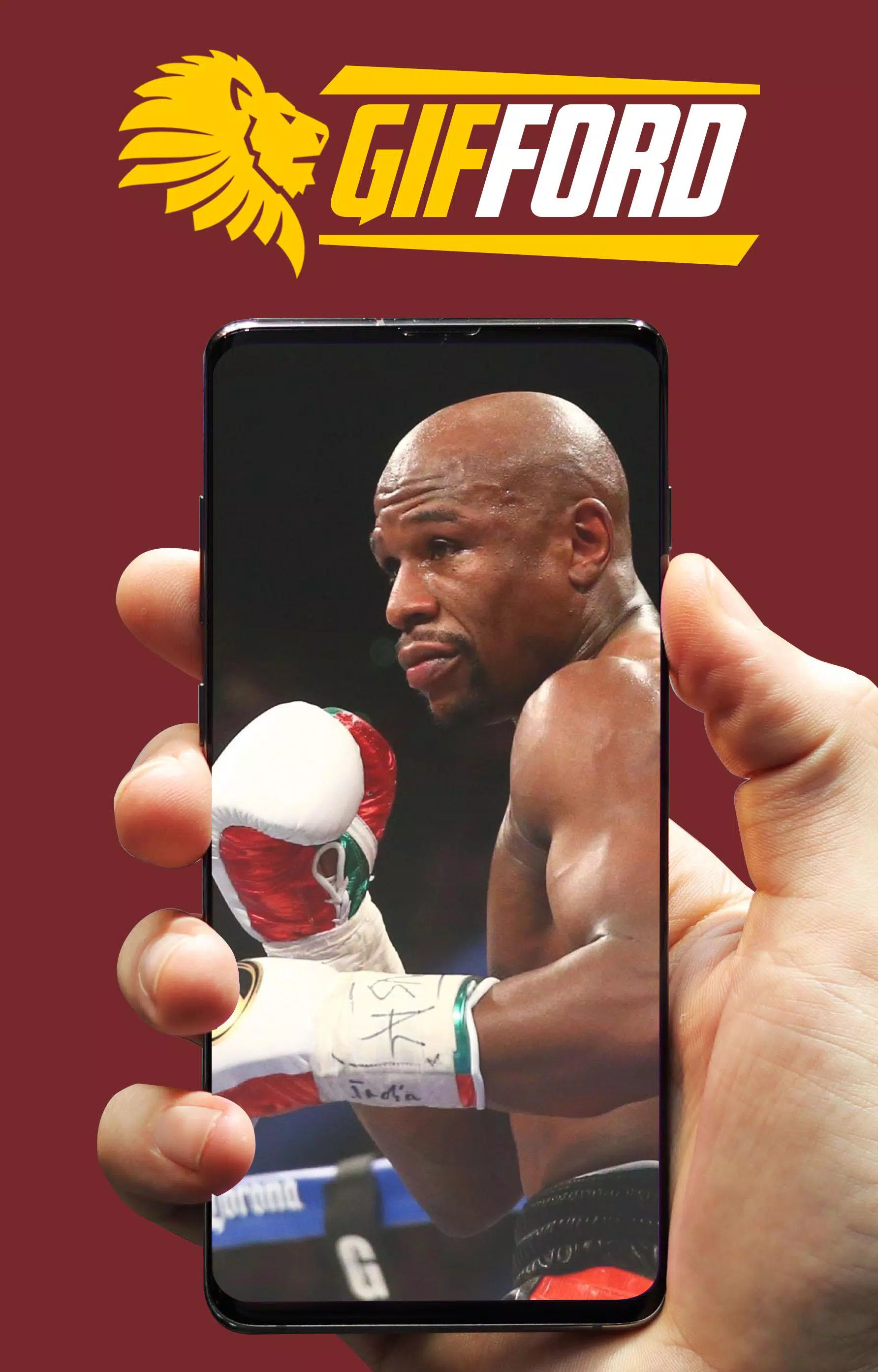 Floyd Mayweather Wallpaper