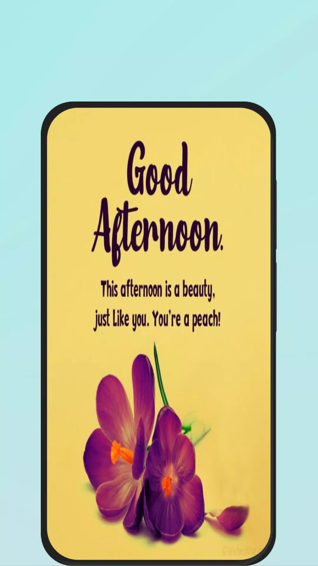 Good Afternoon Greetings Quotes