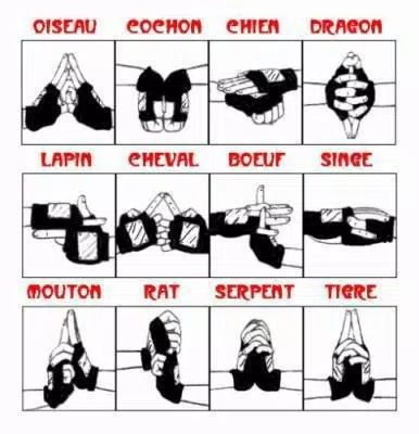 Ninja Powerful Mudras 21 Poses For Genesis Male 3d Models, 56% OFF