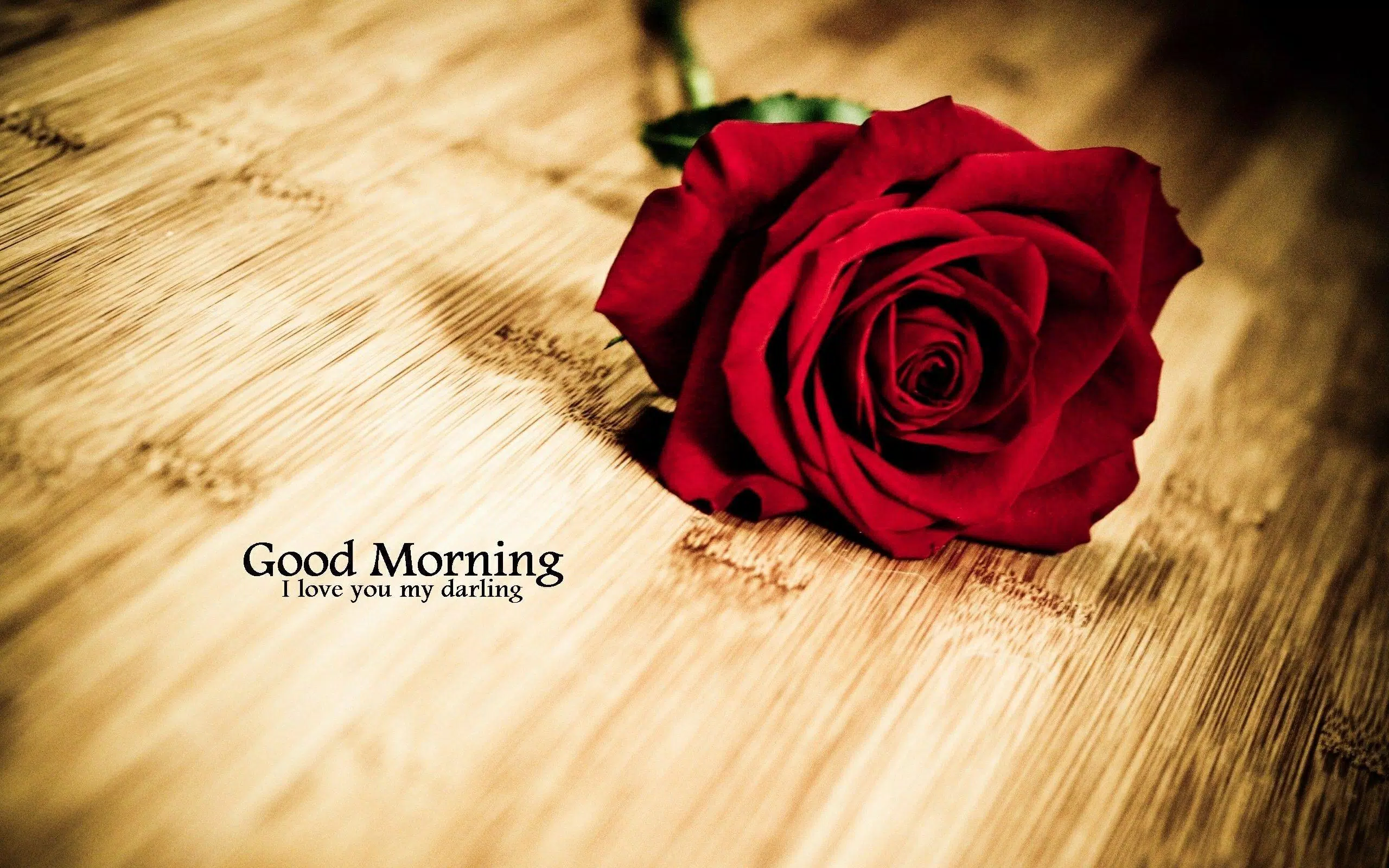 Romantic Couple Good Morning Wallpaper