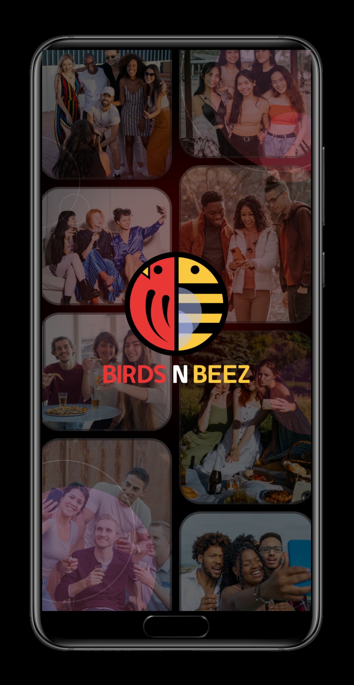 BIRDS N BEEZ APK for Android Download