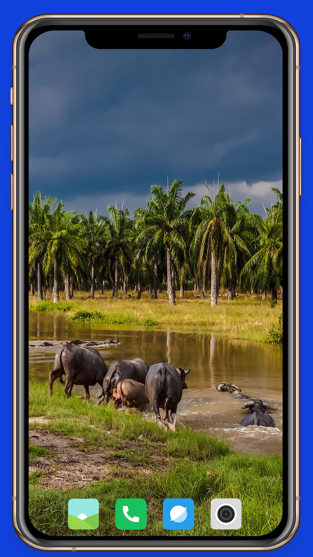River Wallpaper HD APK F r Android Herunterladen river-wallpaper-hd-apk-f-r-android-herunterladen