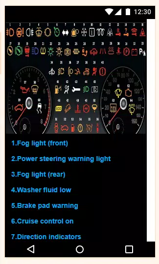 Toyota Prius Dashboard Lights
