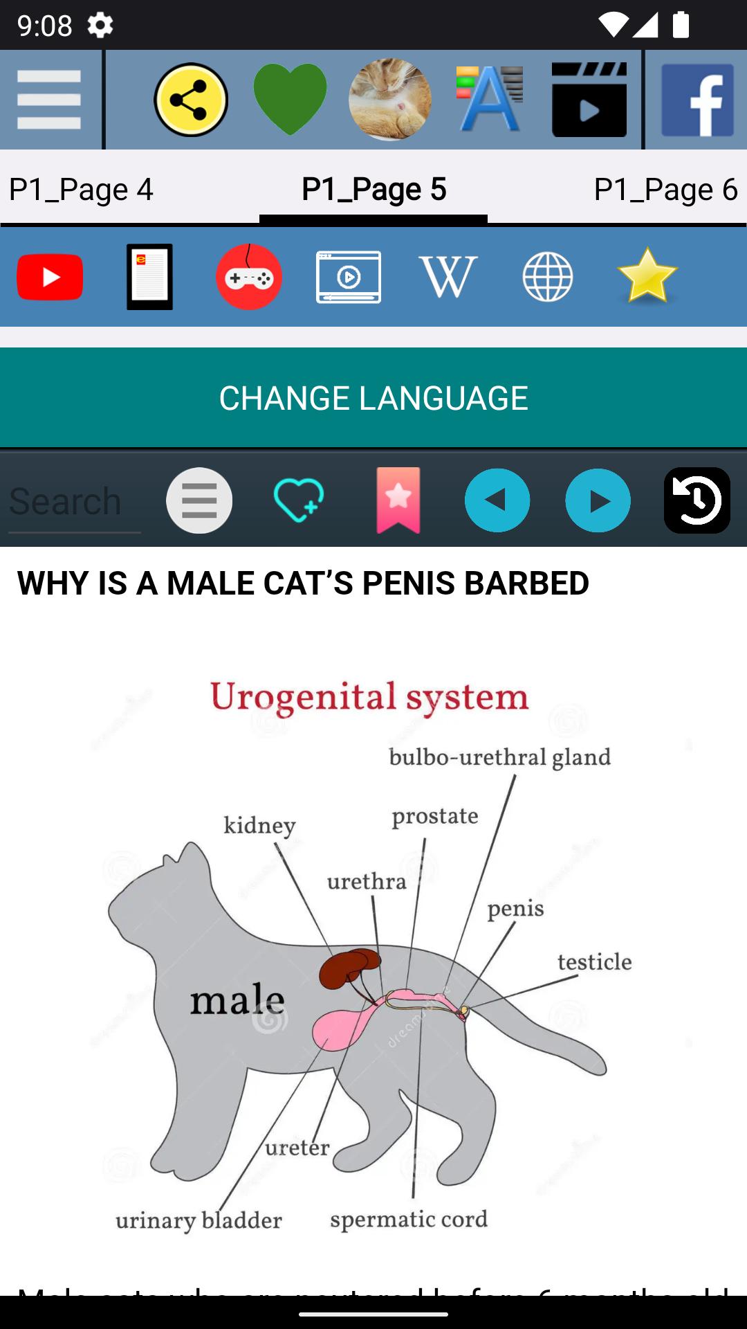 Download Do Apk De Cat Penis Anatomy Para Android