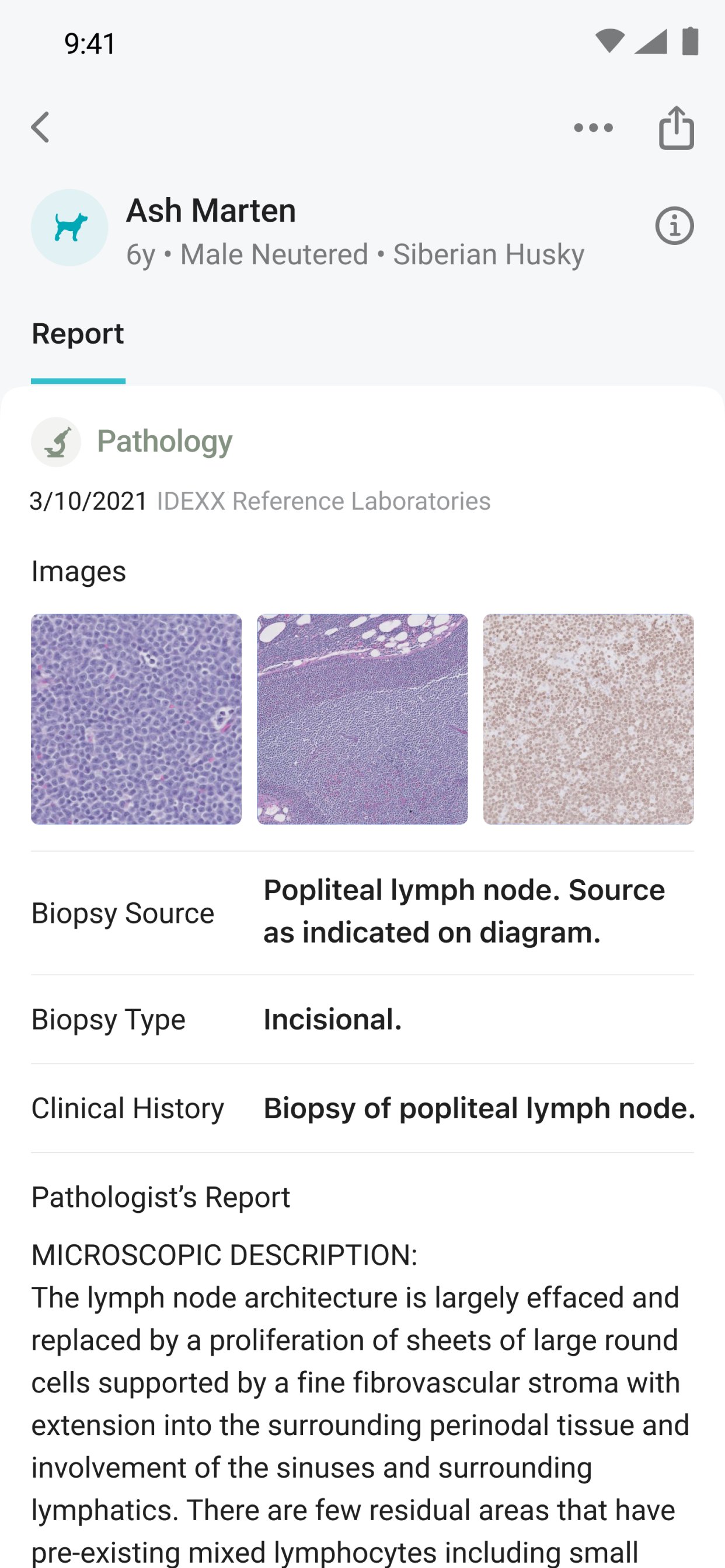 下載IDEXX VetConnect® PLUS的安卓版本