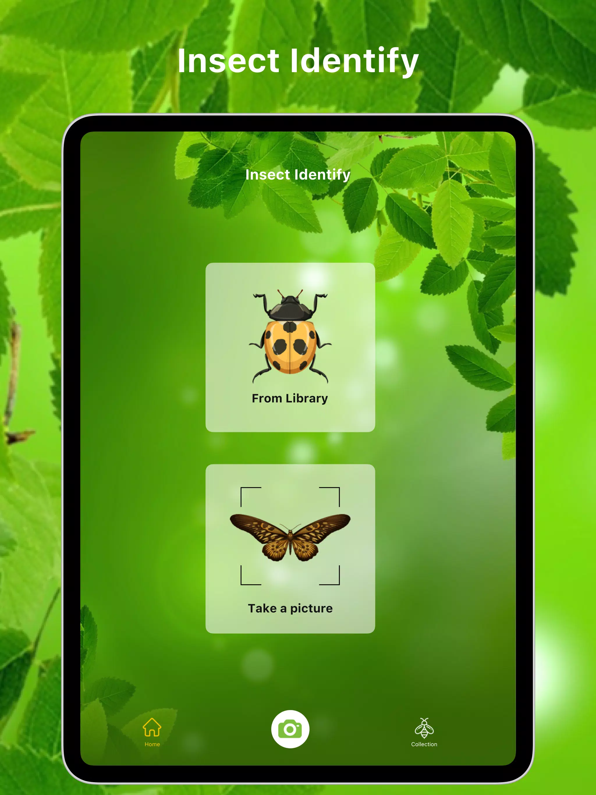 Insect Identifier Reliable Reputation | www.pinnaxis.com