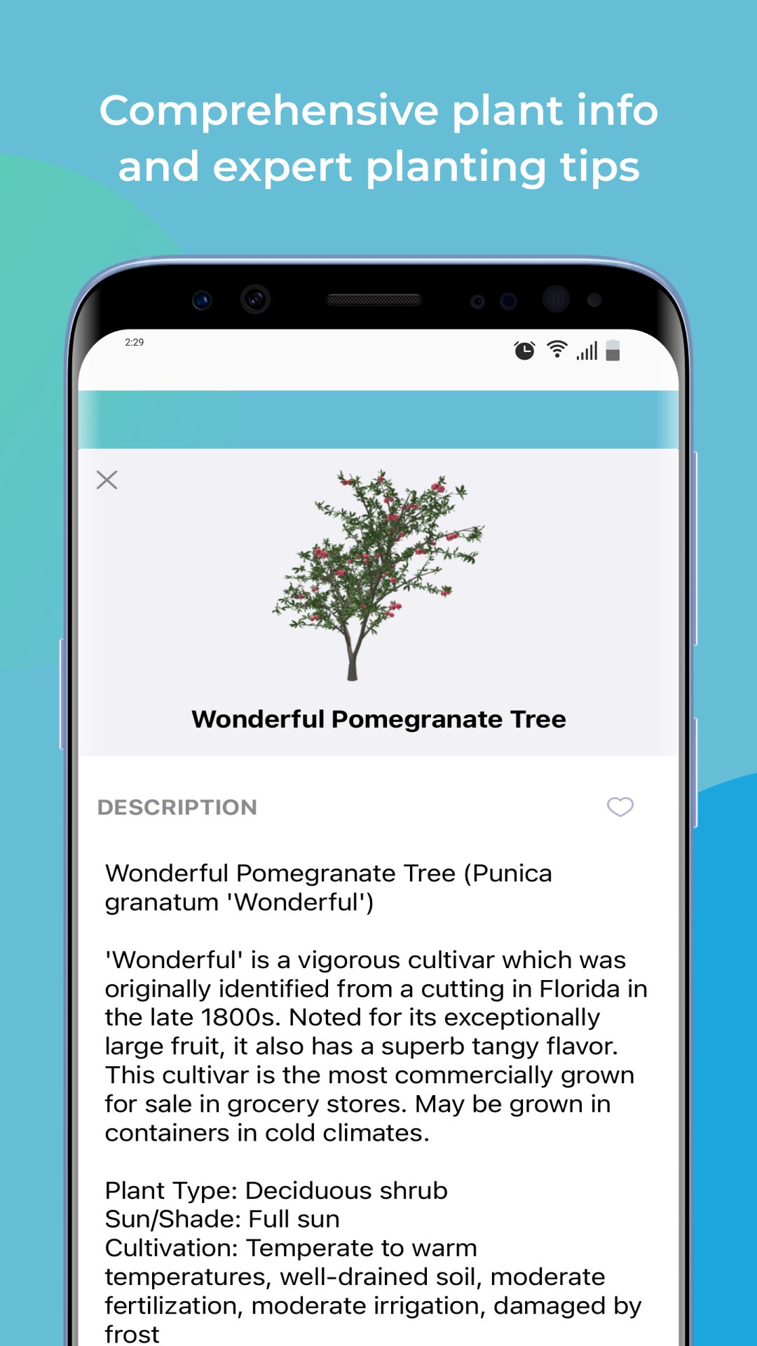 iScape APK for Android Download