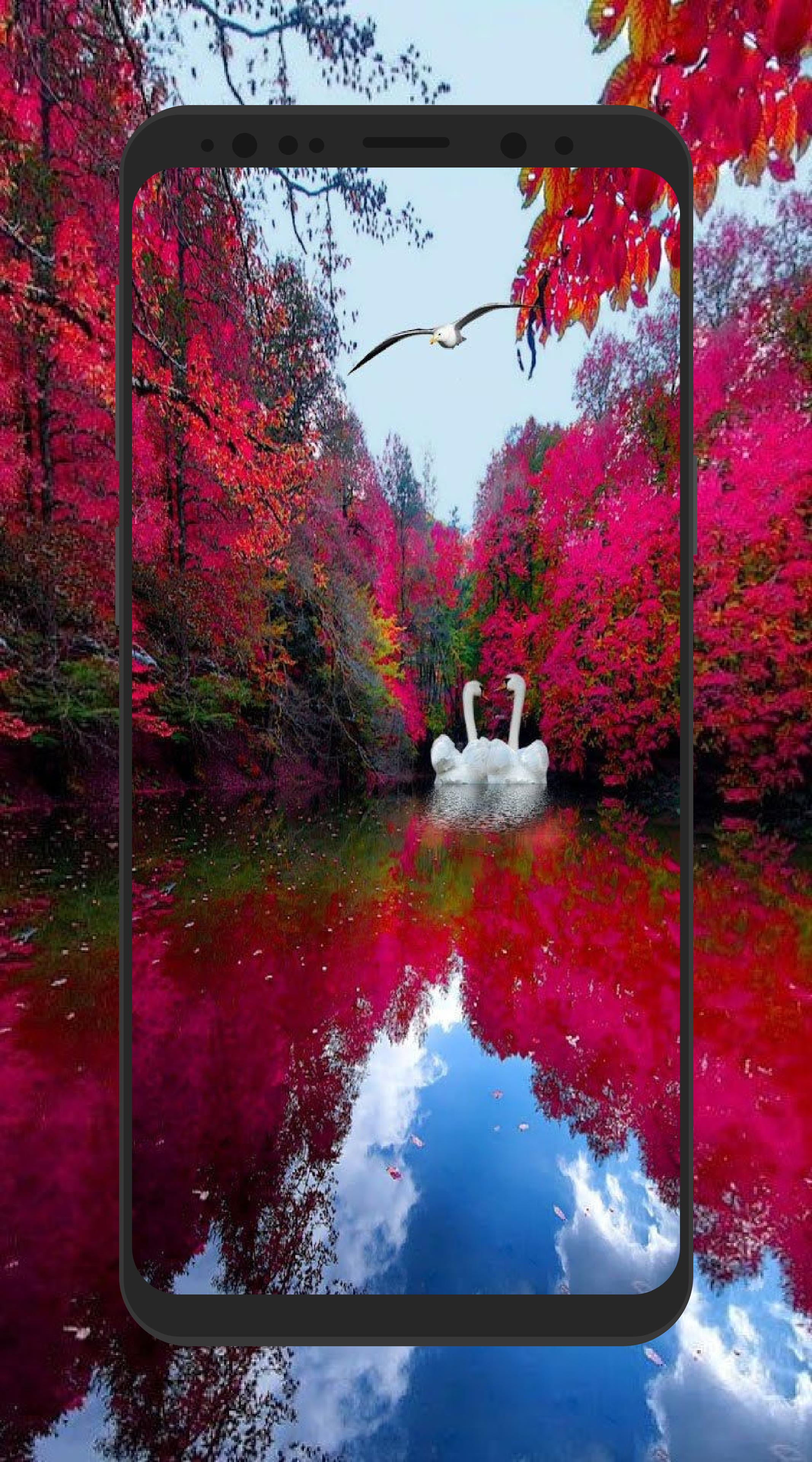 4k Wallpapers Hd Qhd Backgrounds Apk للاندرويد تنزيل