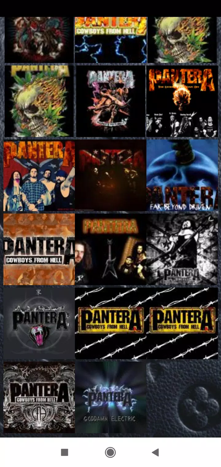 Pantera Far Beyond Driven Wallpaper