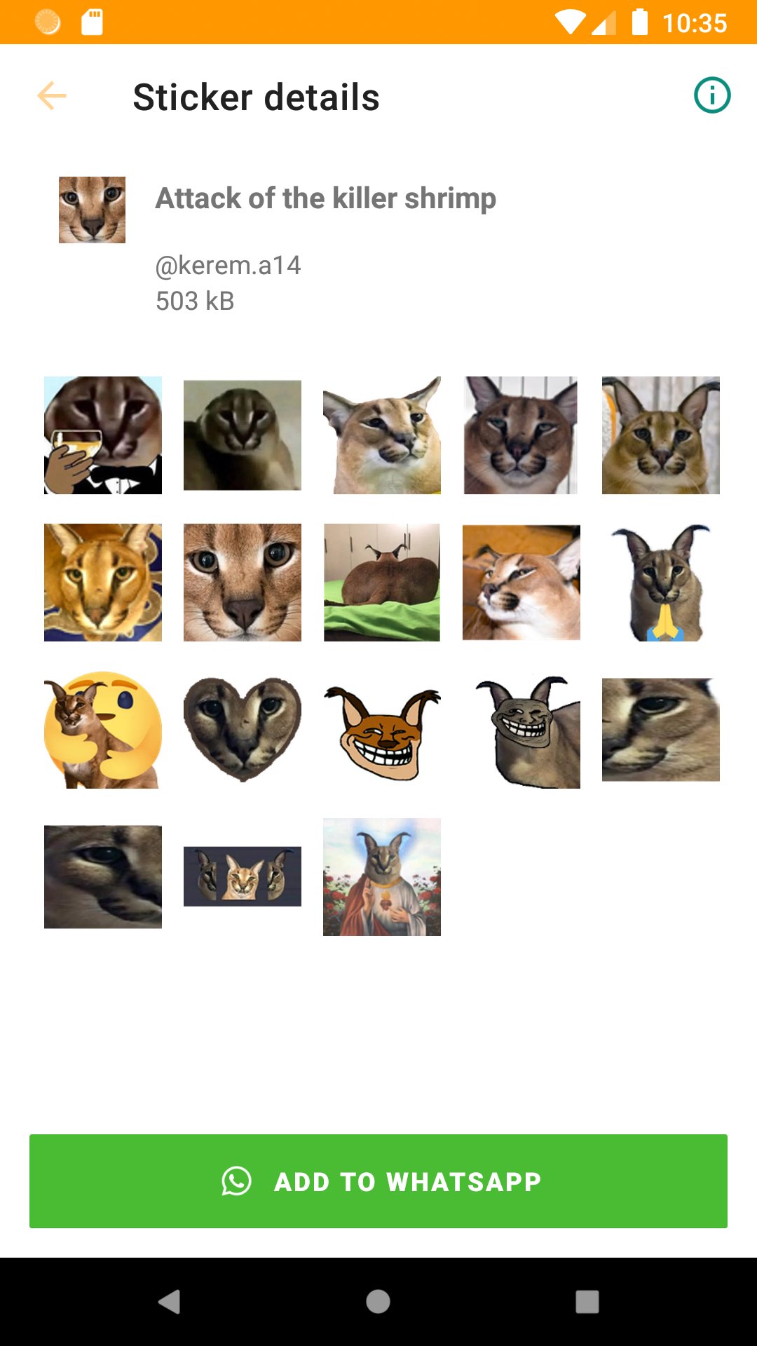 Floppa APK per Android Download