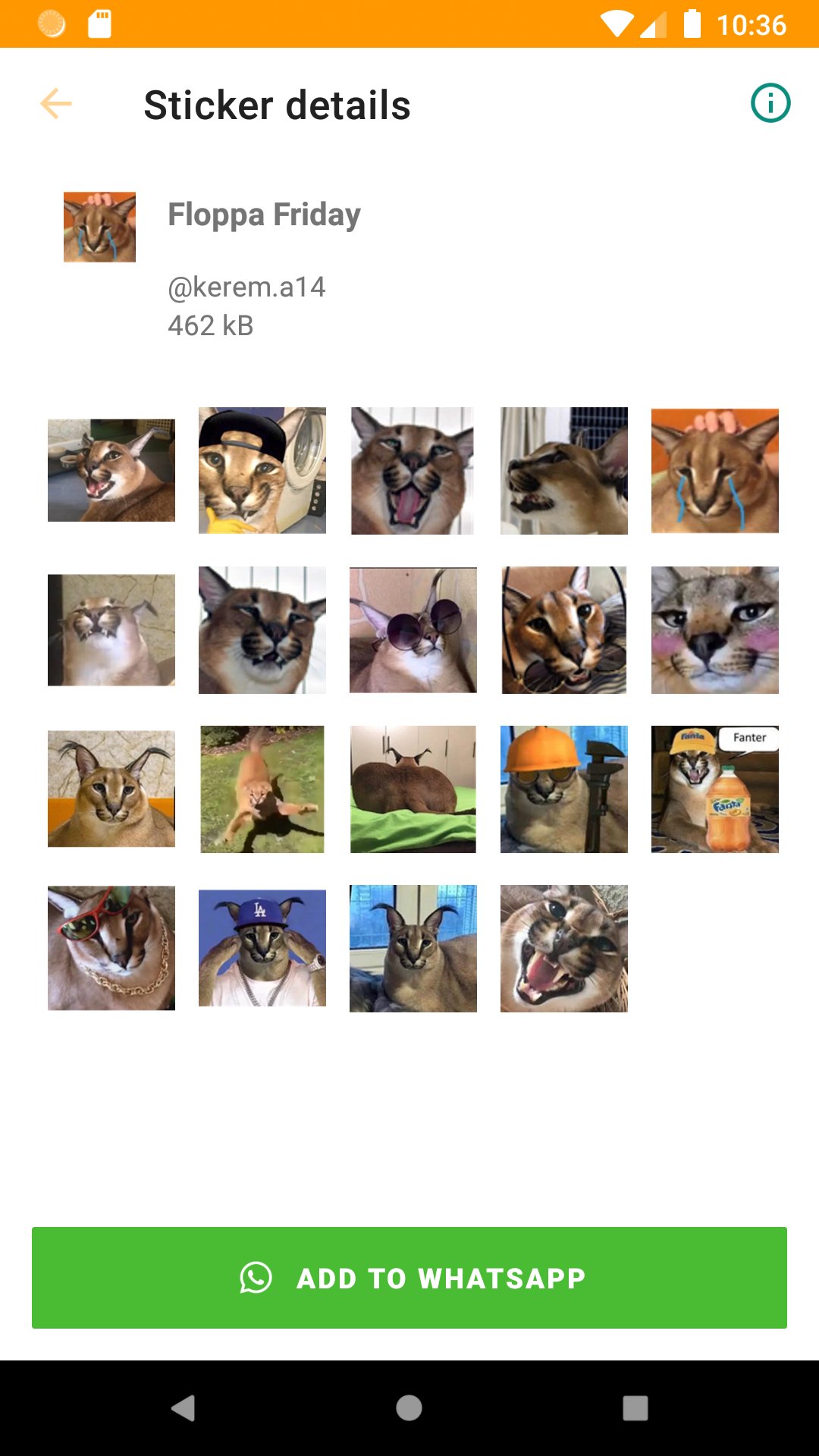 Floppa APK per Android Download