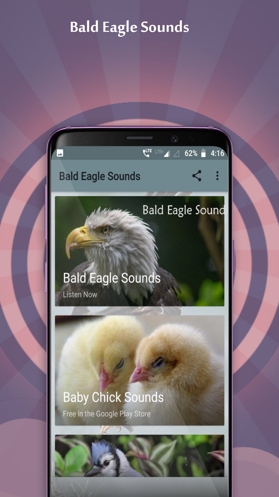 Bald Eagle Sounds APK for Android Download