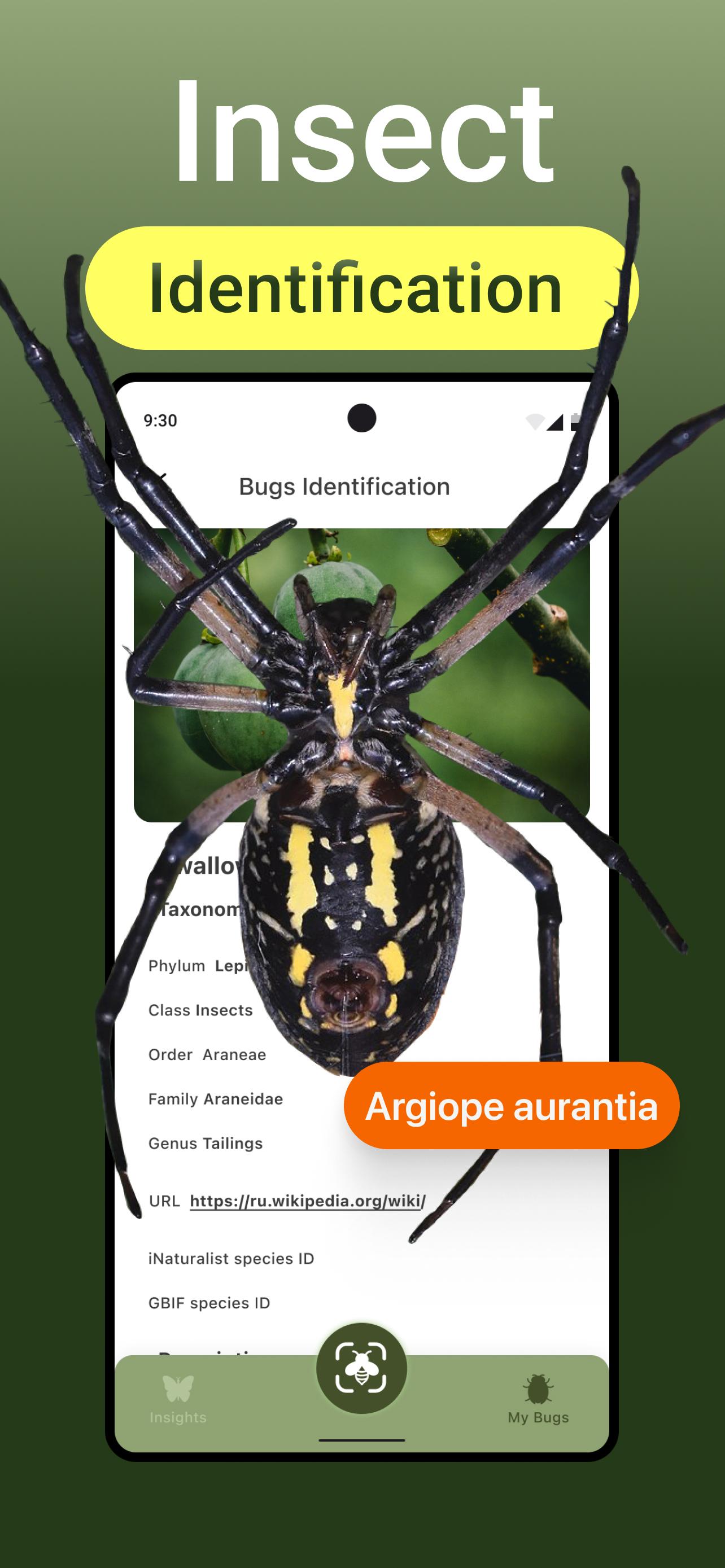 Insect Bug Identifier App Apk For Android Download