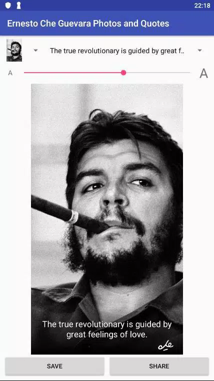Che Guevara Wallpapers With Quotes