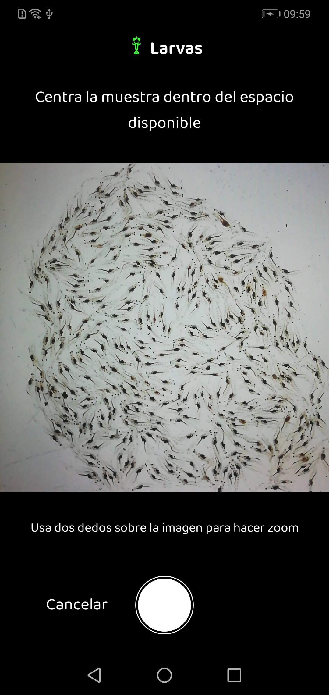 Larvia APK for Android Download