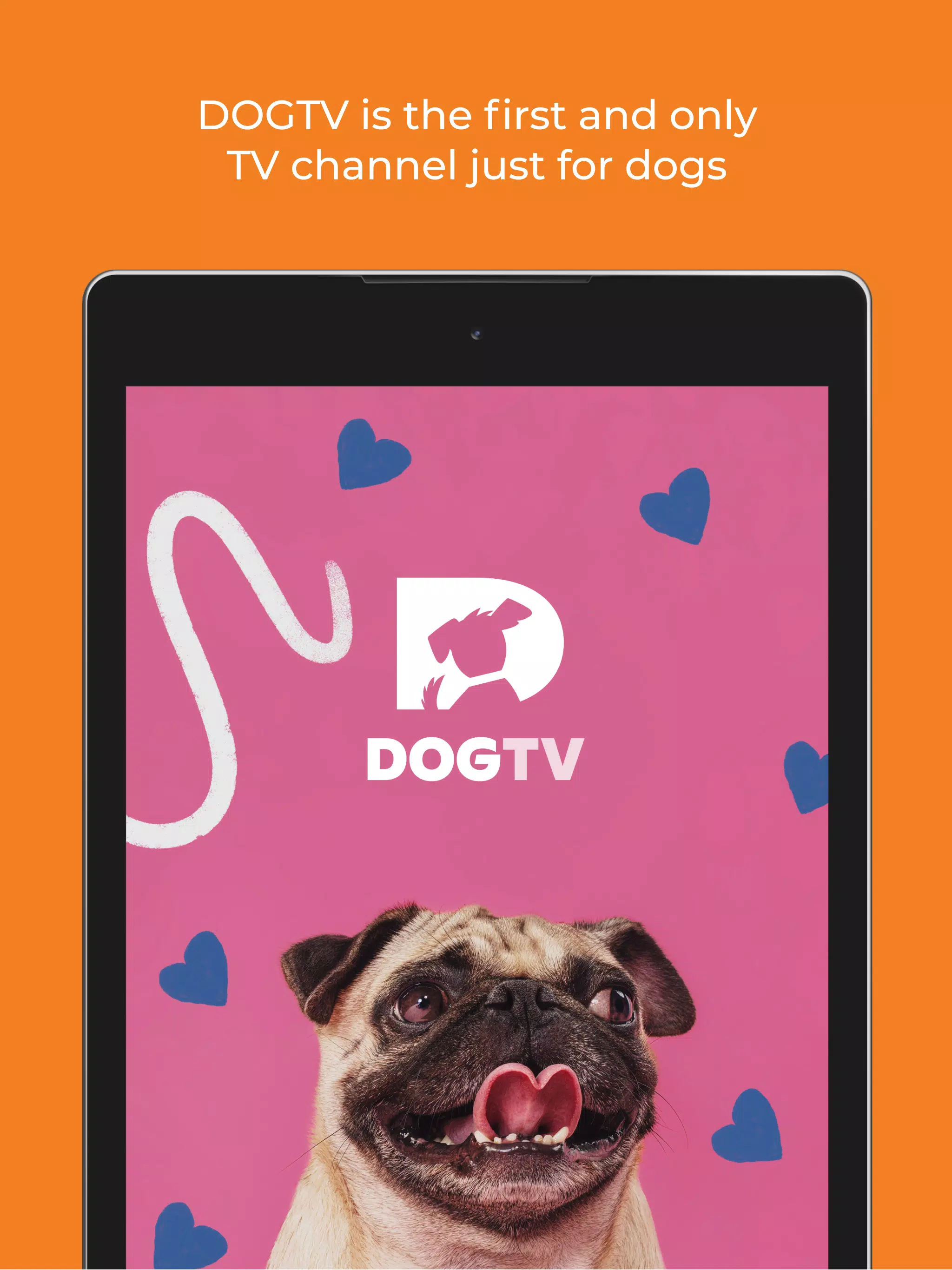 Is There A Channel For Dogs