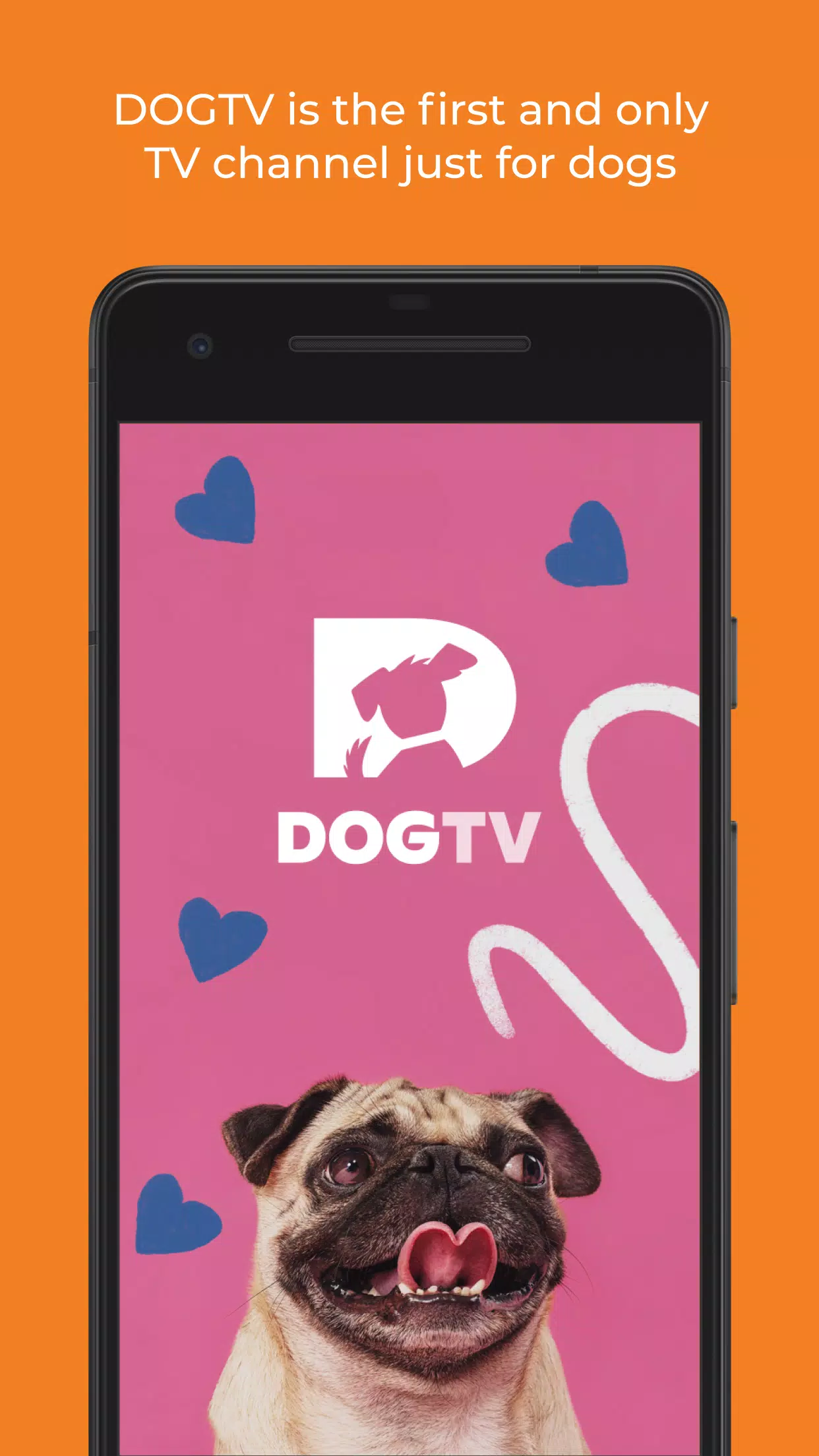 Is There A Tv Channel For Dogs