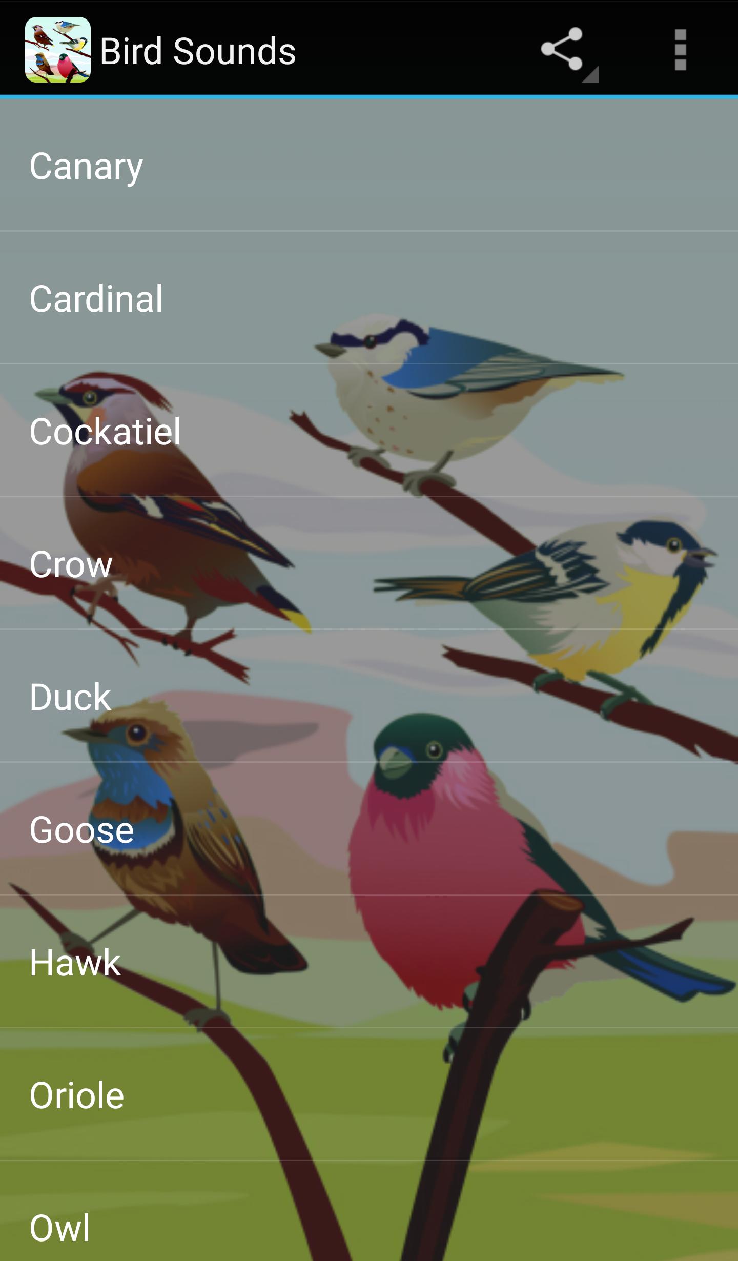 Bird Sounds APK For Android Download bird-sounds-apk-for-android-download
