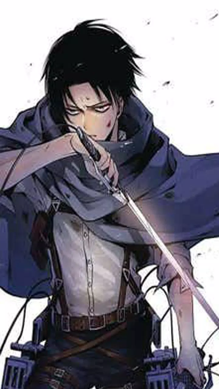 Levi Wallpaper