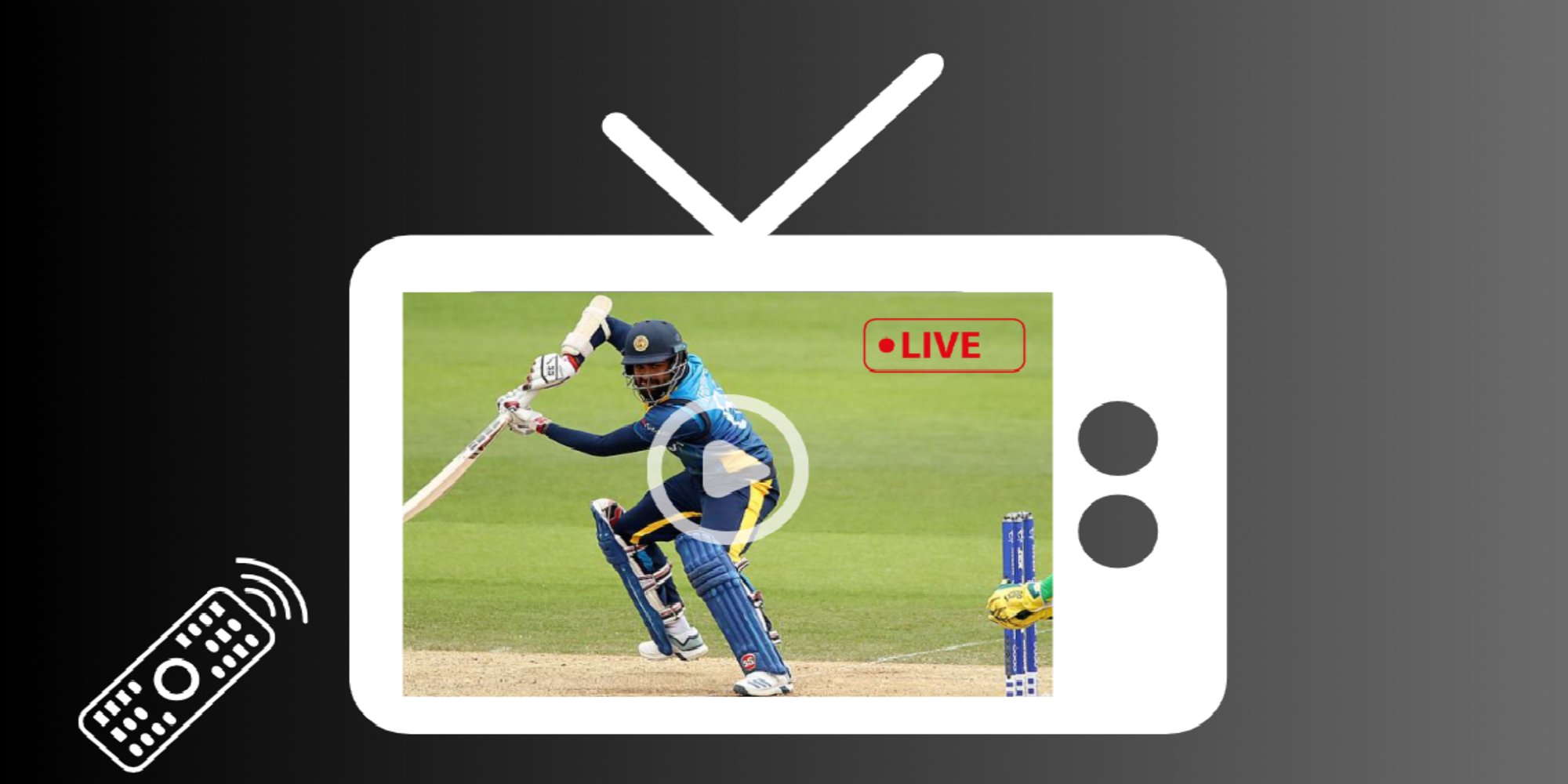 Picasso: Live Cricket 2024 APK for Android Download