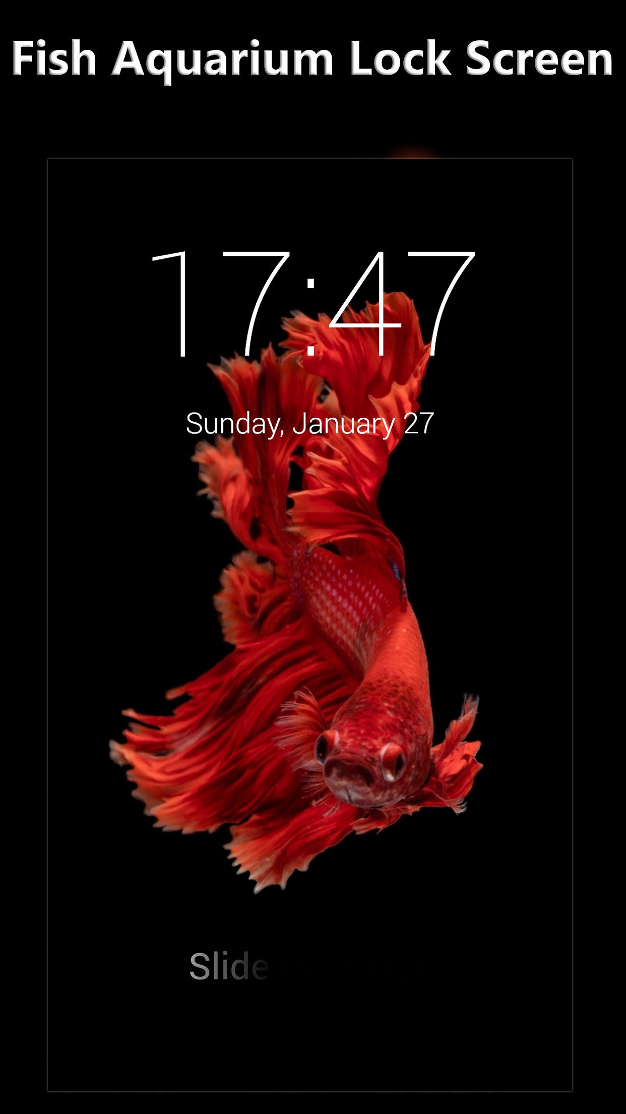 Fish Aquarium Lock Screen APK for Android Download
